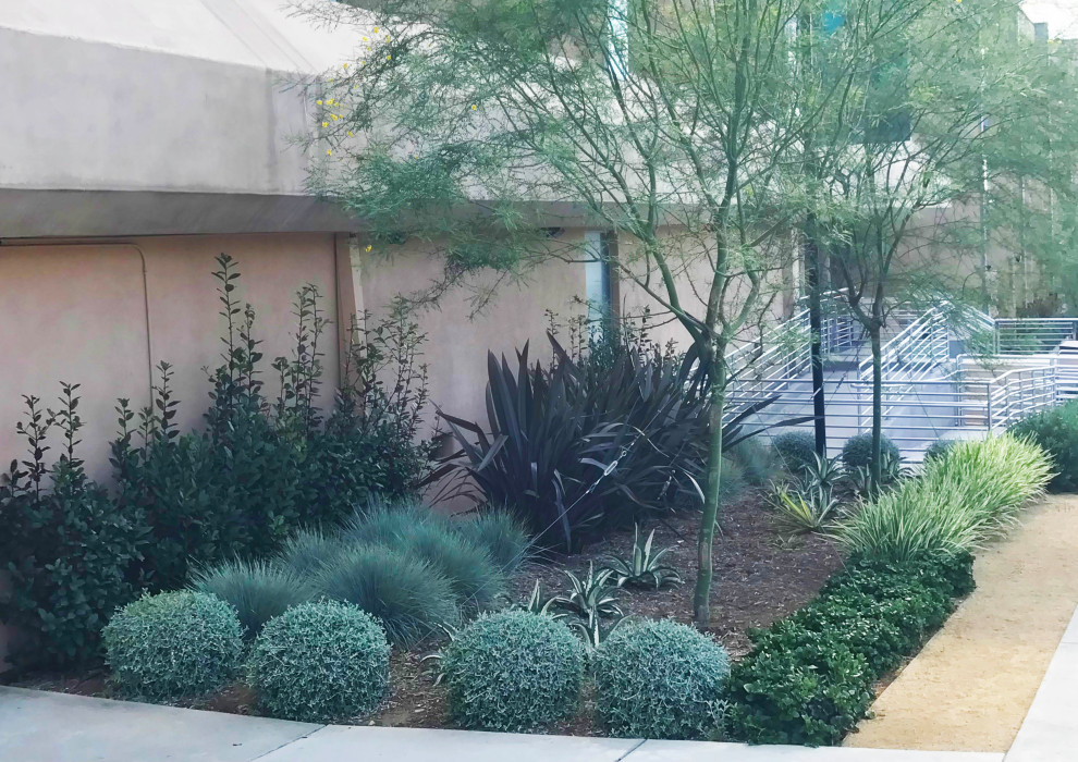 Mar Vista - Contemporary - Landscape - Los Angeles - by Isabel Moritz ...