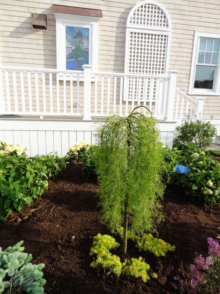 Maria Hickey and Associates - Traditional - Landscape - Boston - by ...