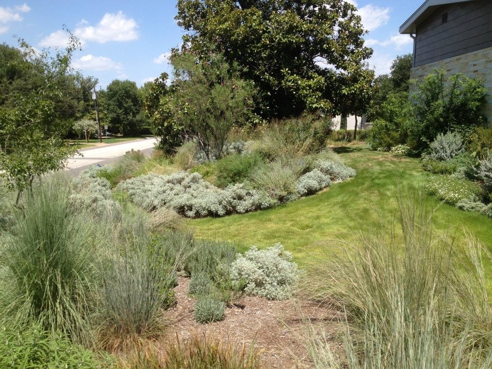 Master Gardener on St. Michaels, Dallas - Modern - Landscape - Dallas ...