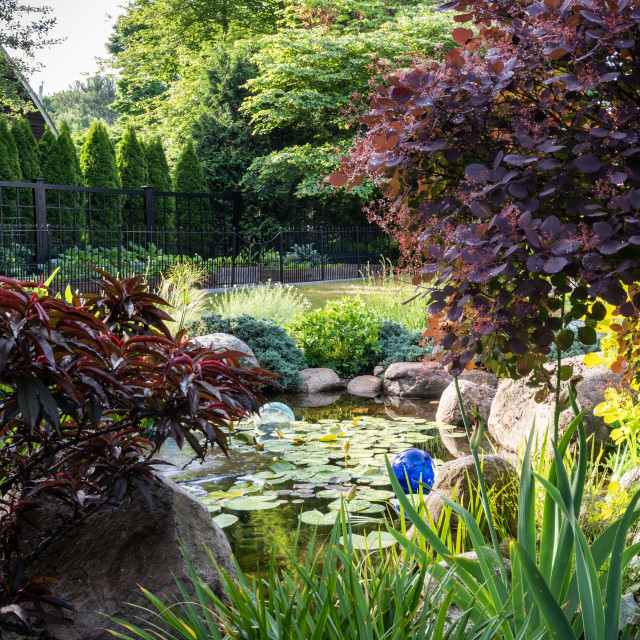 Matisse Garden - Garden - Boston - by Amy Martin Landscape Design ...