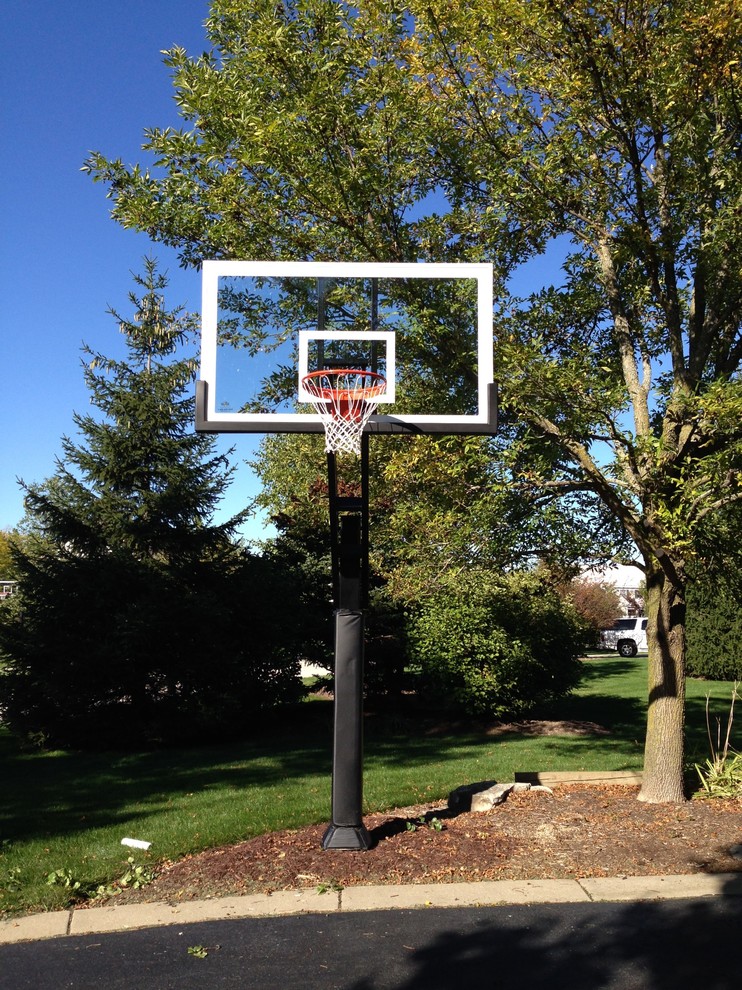 Matthew K's Pro Dunk Platinum Basketball System on a 22x20 in Green ...