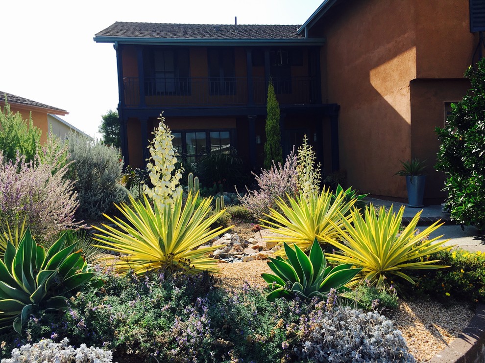 Mature Soft Desert Gardens - Southwestern - Landscape - Orange County ...