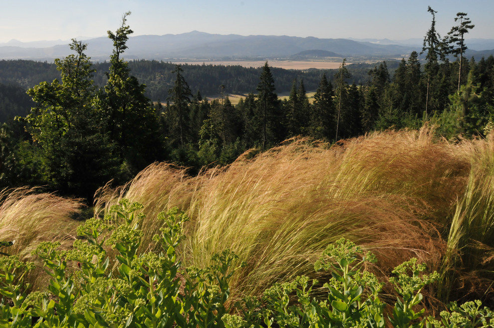 Meadow Planting - Contemporary - Landscape - Other - by Lovinger ...