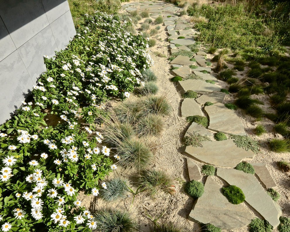 Mecox Bay Residence - Wetland Buffer Planting - Traditional - Landscape ...