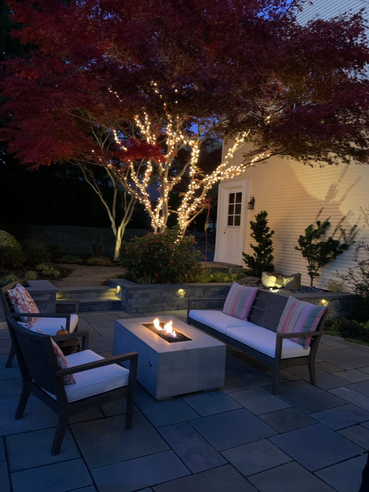 Medina Gold Cottage Patio Garden - Transitional - Patio - Seattle - by ...