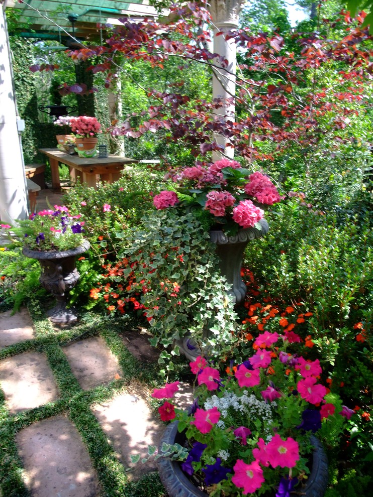 Mediterranean Backyard in Houston - Mediterranean - Landscape - Houston ...