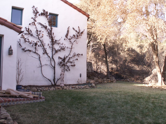 Mediterranean Garden - Traditional - Garden - Santa Barbara - by Margie ...