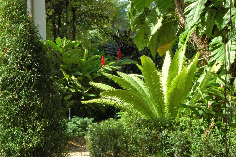 Mediterranean Landscape Design Miami - Mediterranean - Garden - Miami ...