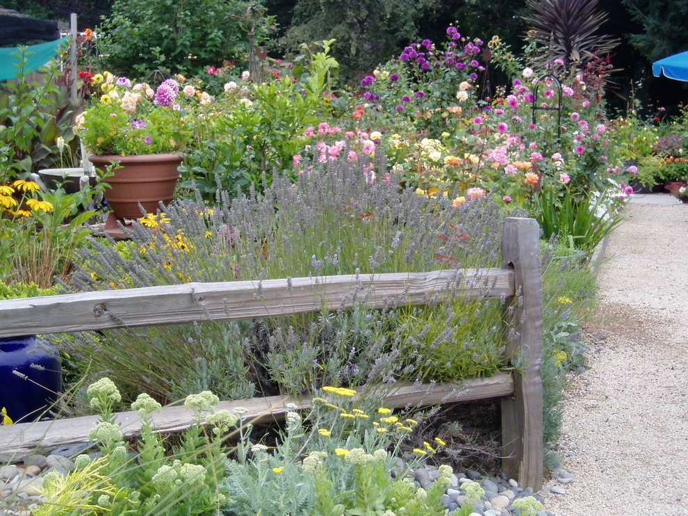 Mediterranean Landscape - Mediterranean - Landscape - San Francisco | Houzz