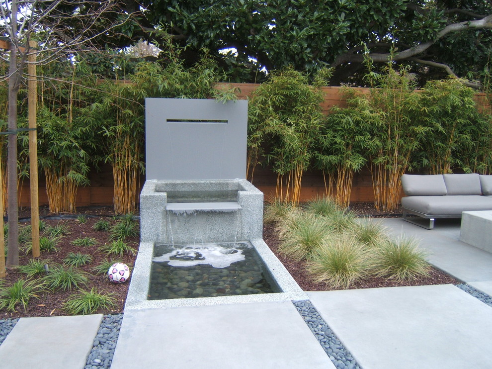 Menlo Park Modern - Modern - Landscape - San Francisco - by Outer space ...