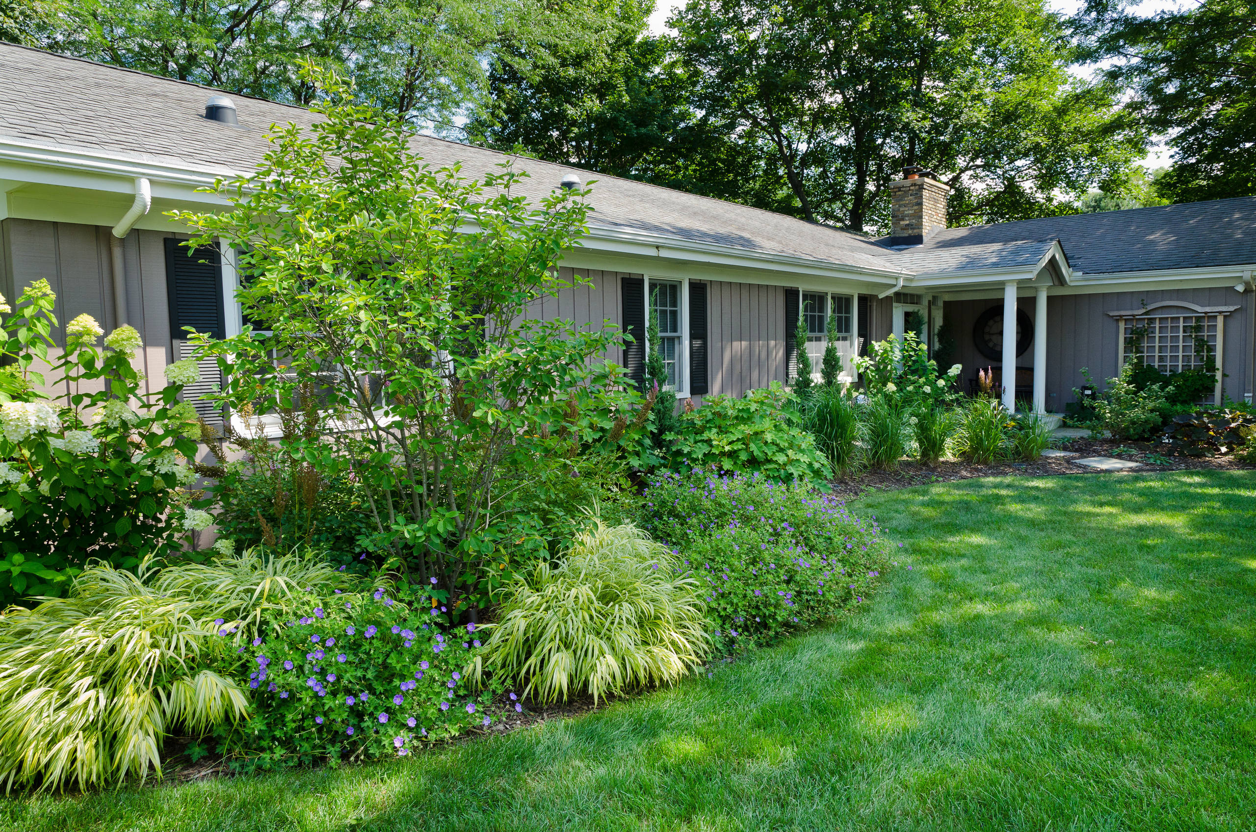 How to Plant a New Lawn From Seed