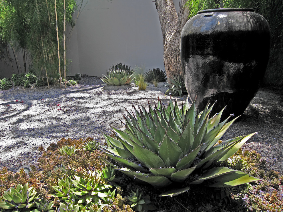 Mexican Native Terrace - Asian - Landscape - Mexico City - by Sozo ...
