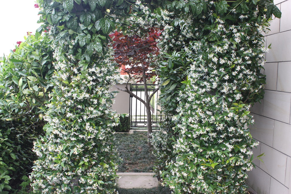 Michelle McDonnell Landscape Design gallery - Contemporary - Landscape ...