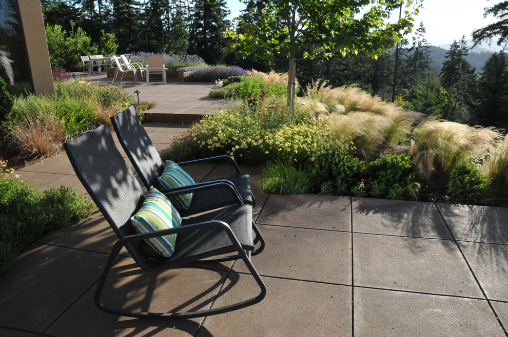 Microclimates - Contemporary - Landscape - Other - by Lovinger ...