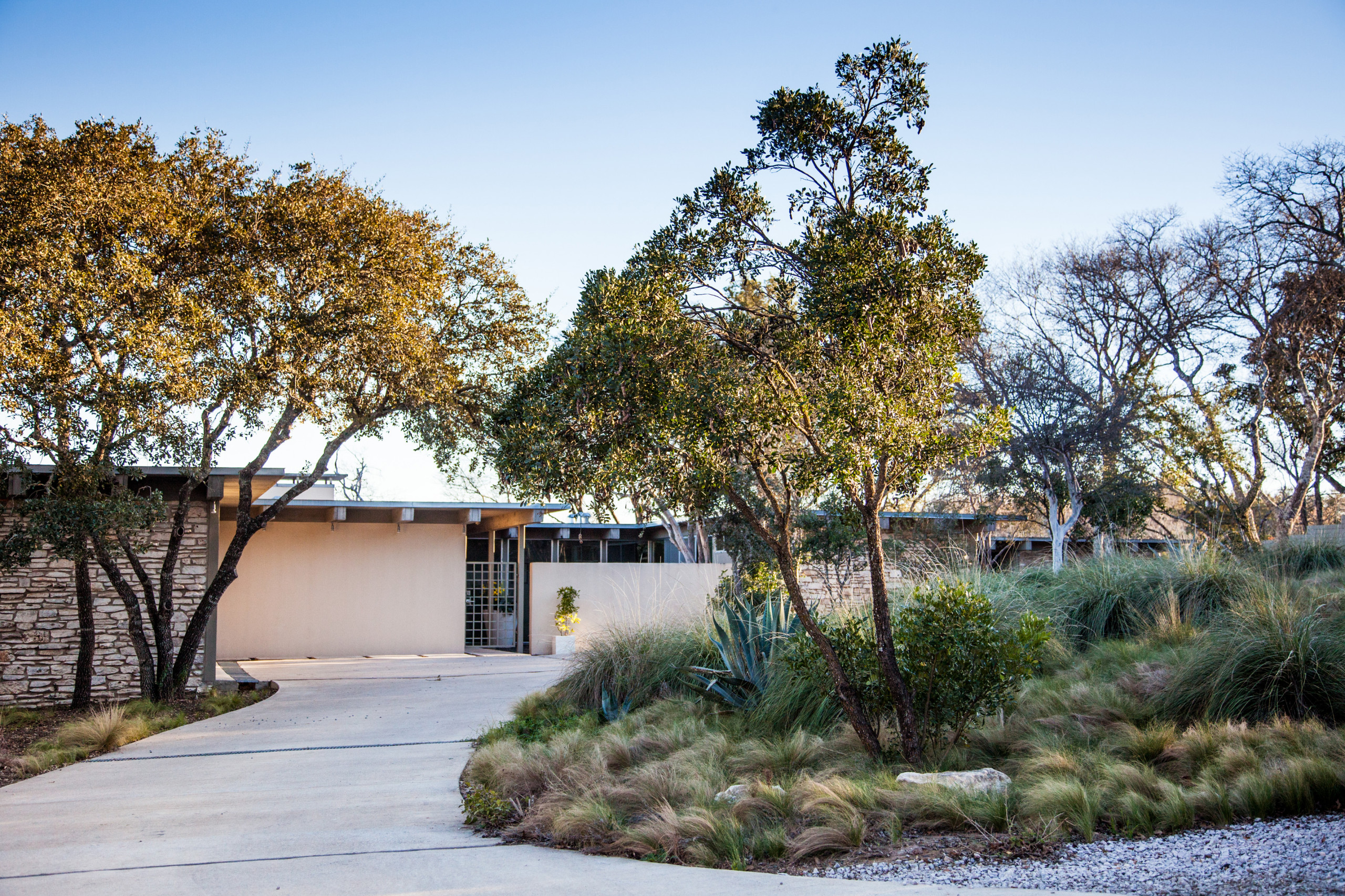 Mid Century Modern Trees Landscaping In With The New…and The Old