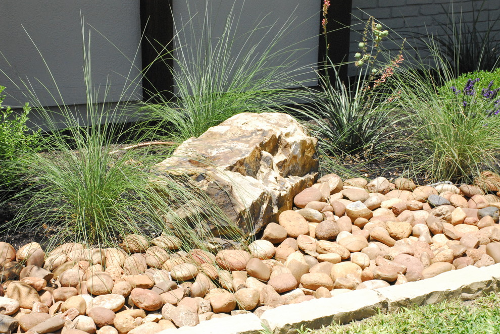 Mid Century xeriscape - Midcentury - Landscape - Dallas - by Alford's ...