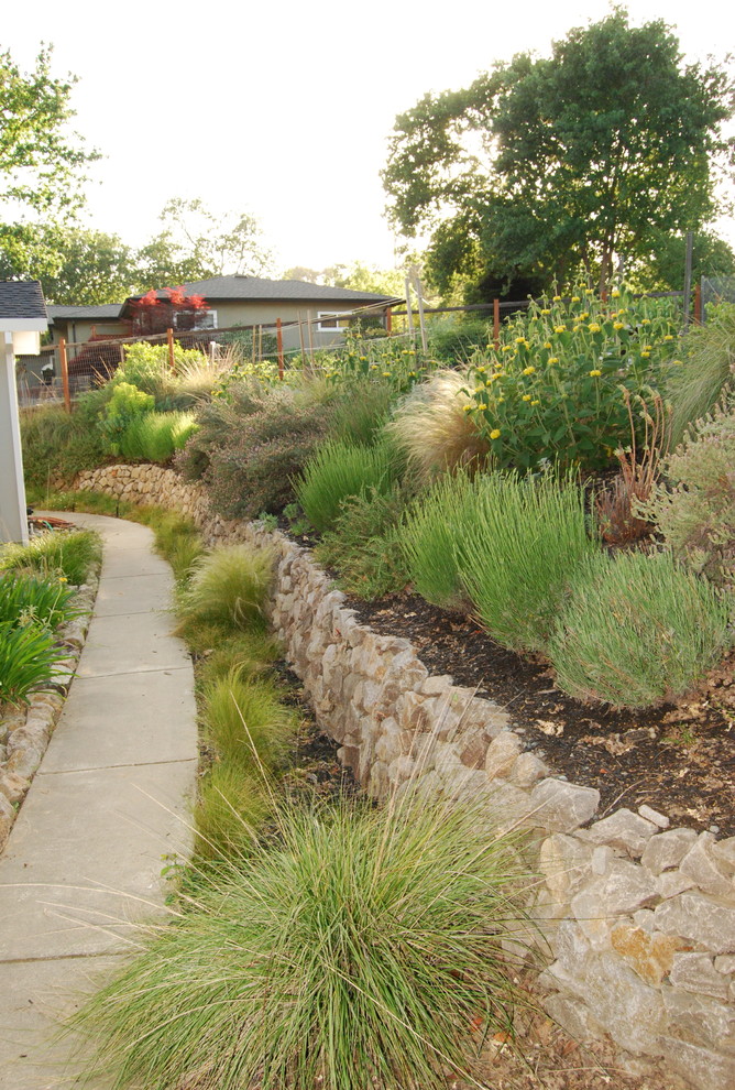 Miller Residence - Traditional - Landscape - San Francisco - by ...