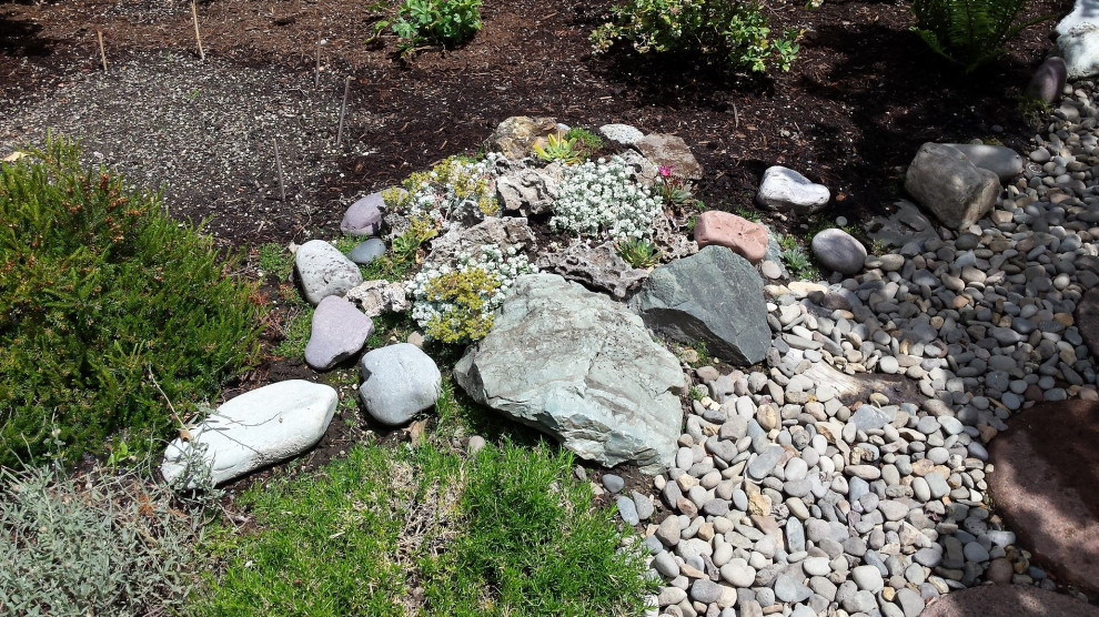 Mini Alpine Rockery - Rustic - Landscape - Portland - by Plan-it Earth ...