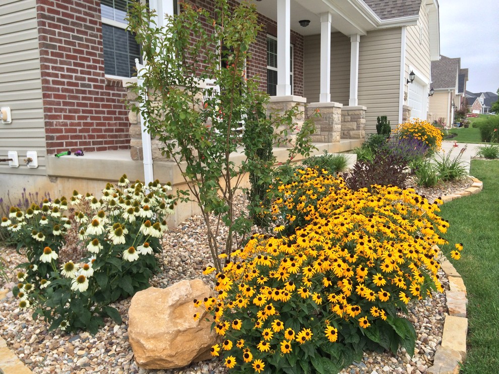 Missouri Wildflowers - Traditional - Landscape - St Louis - by Elevate ...