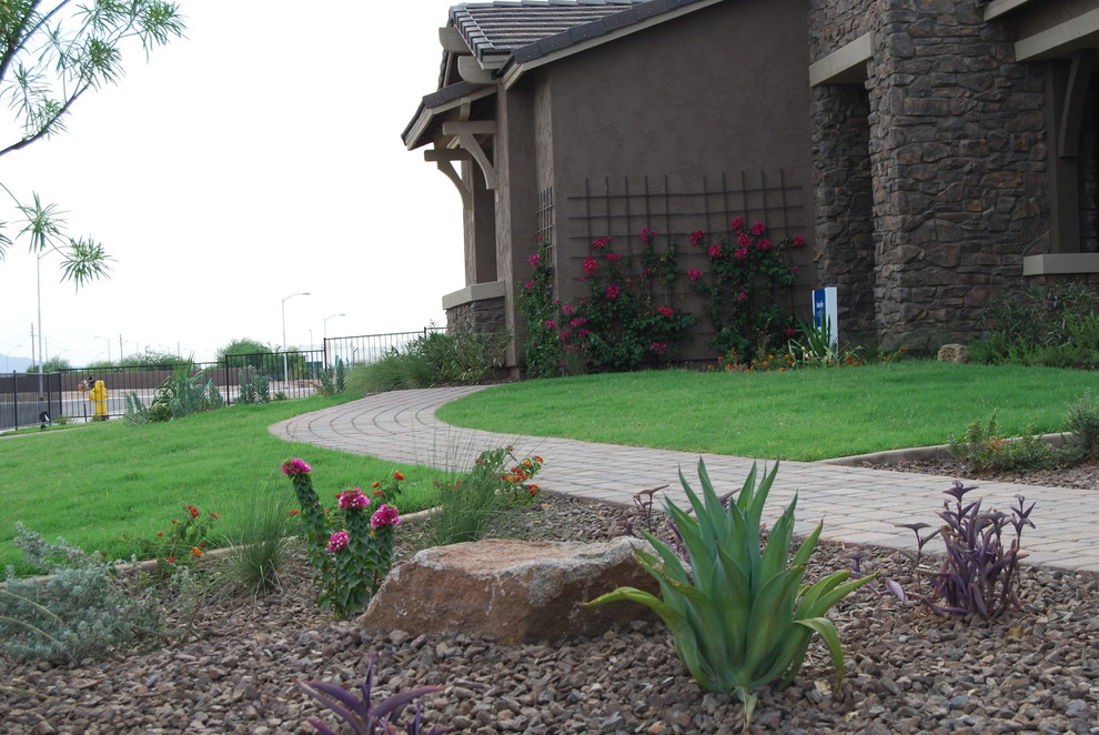 Model Home Front Yard Landscape - Contemporary - Landscape - Phoenix ...