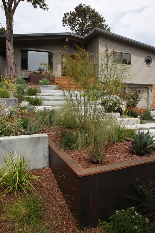 Modern Belmont Entry Garden - Contemporary - Landscape - San Francisco ...