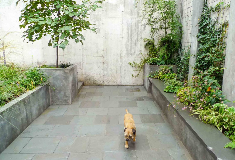 Modern Brooklyn Garden - Contemporary - Landscape - New York - by ...