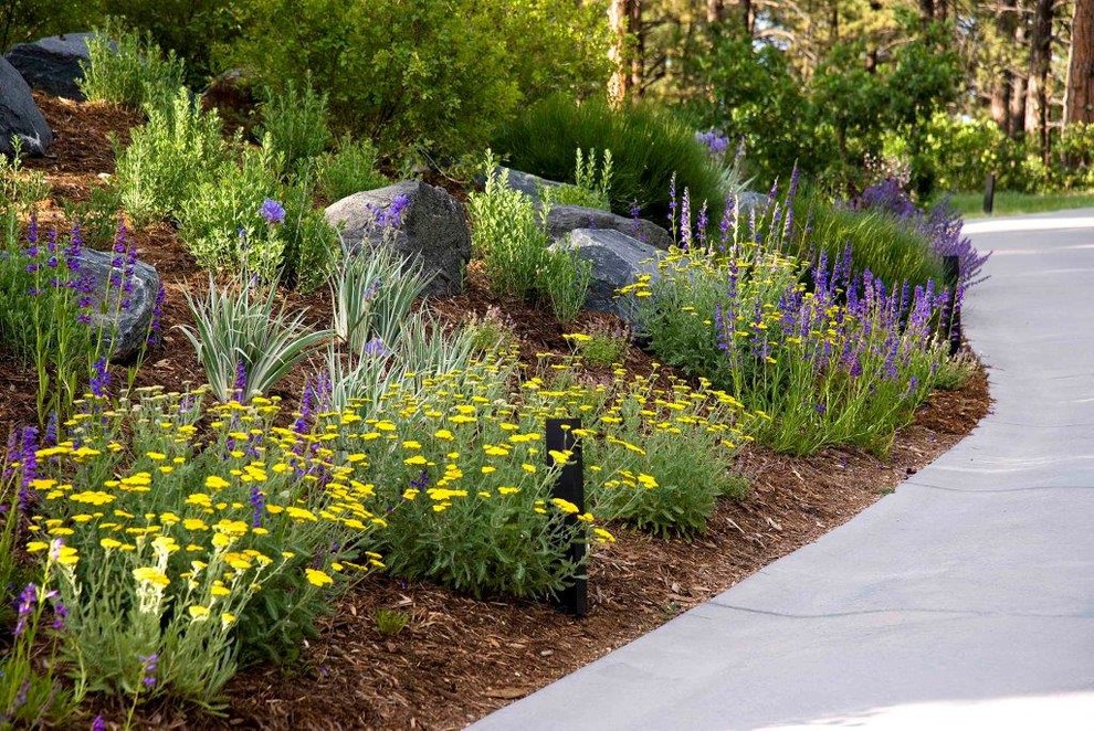 Modern Colorado Home - Modern - Landscape - Denver - by Lifescape ...