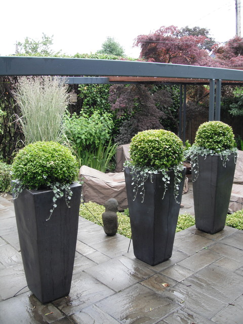 Modern Containers - Contemporary - Garden - Vancouver - by Glenna ...