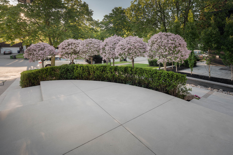 Modern Curb Appeal - Eclectic - Landscape - Toronto - by Elite Concrete ...