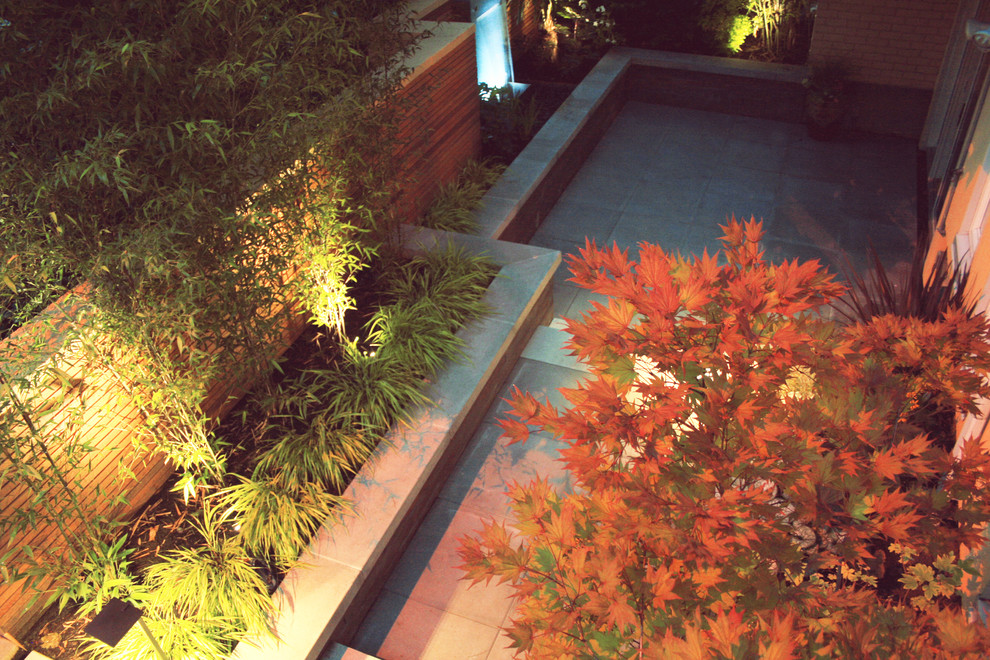 Modern Downtown Courtyard - Modern - Garden - Vancouver - by Botanica ...