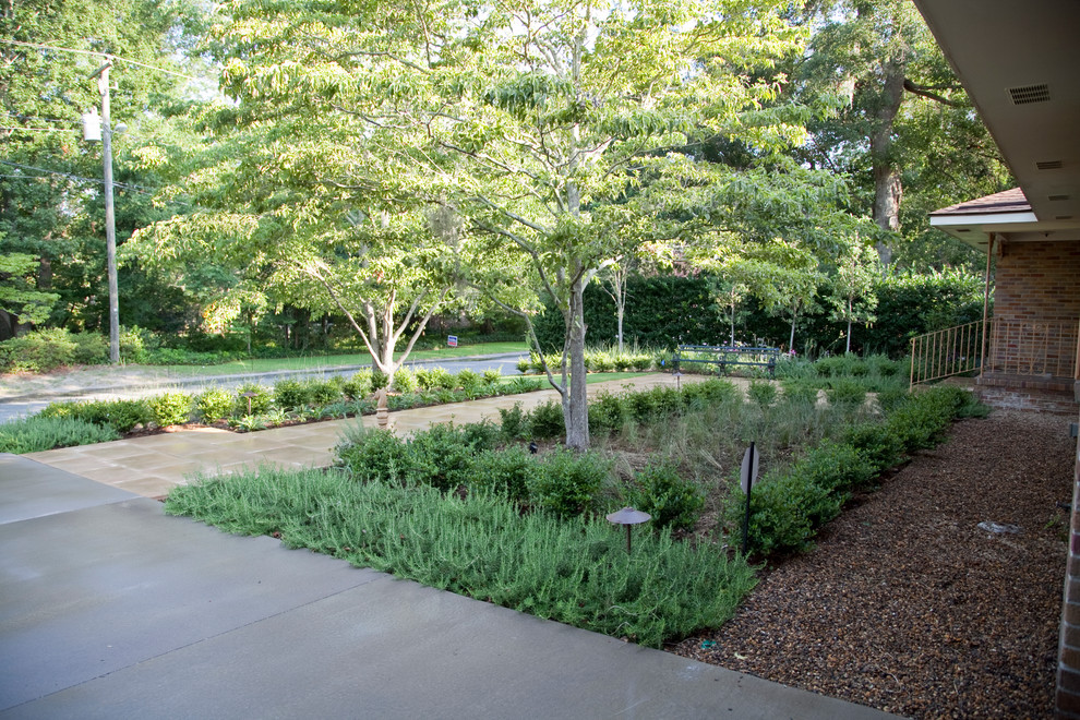 modern entry courtyard - Modern - Landscape - Charleston - by Remark ...