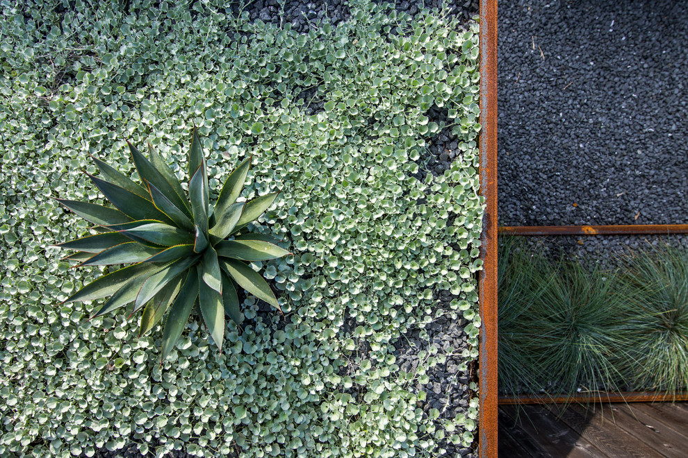 Modern Family Entertaining Space - Modern - Landscape - Austin - by ...