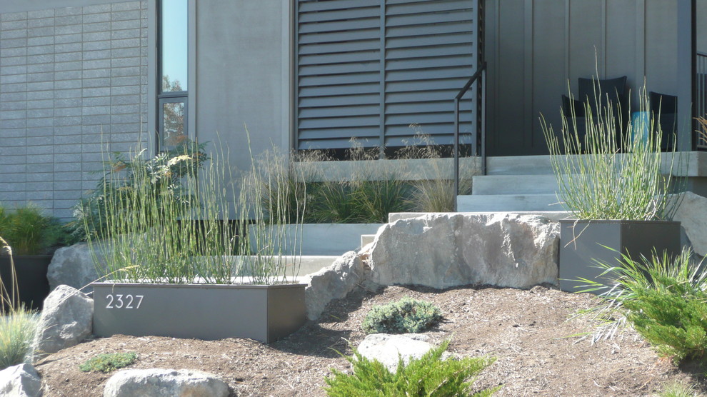 Modern front entry landscape - Contemporary - Landscape - Other - by ...