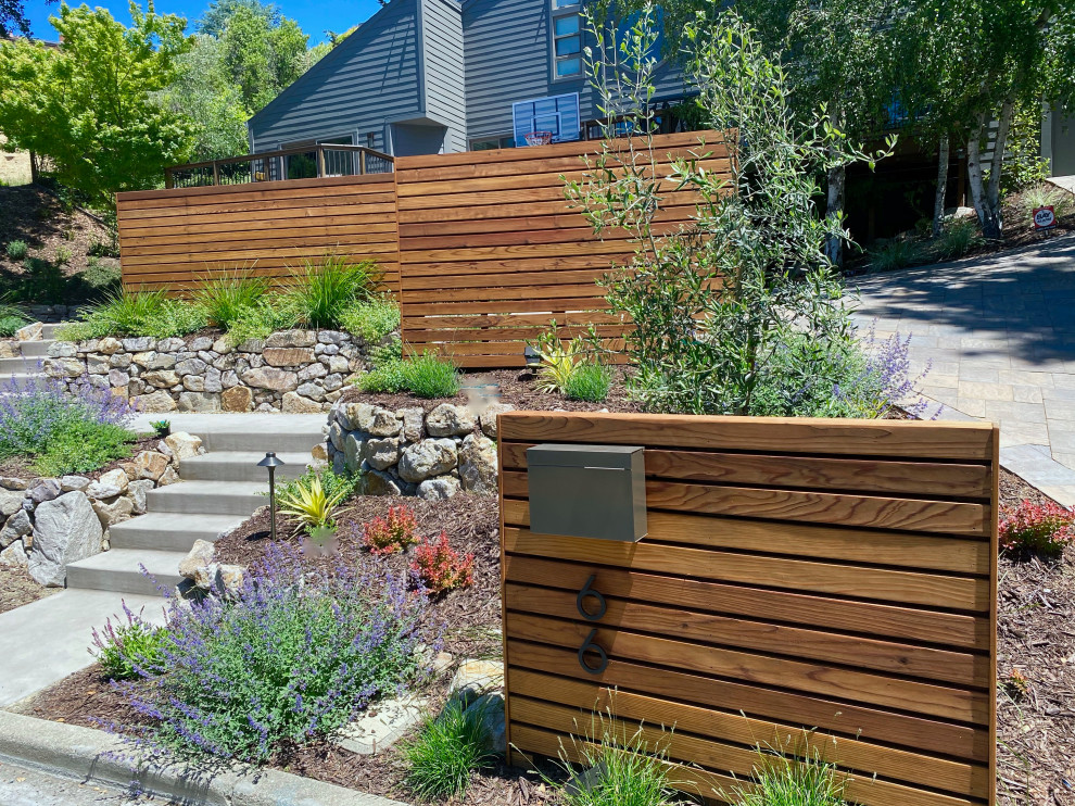 Modern Front Landscape - Modern - Landscape - San Francisco - by Garden ...