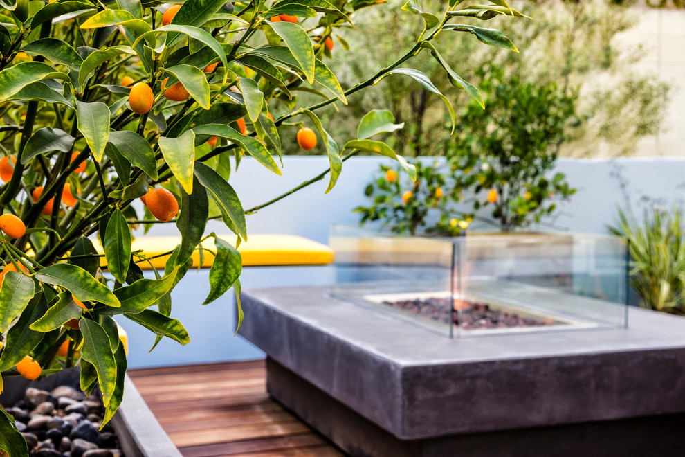 Modern Irvine - Modern - Landscape - Orange County - by Studio H ...