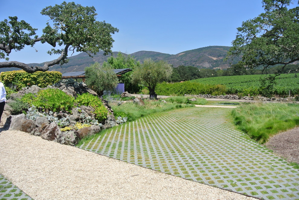 Modern Landscape - Modern - Landscape - San Francisco | Houzz