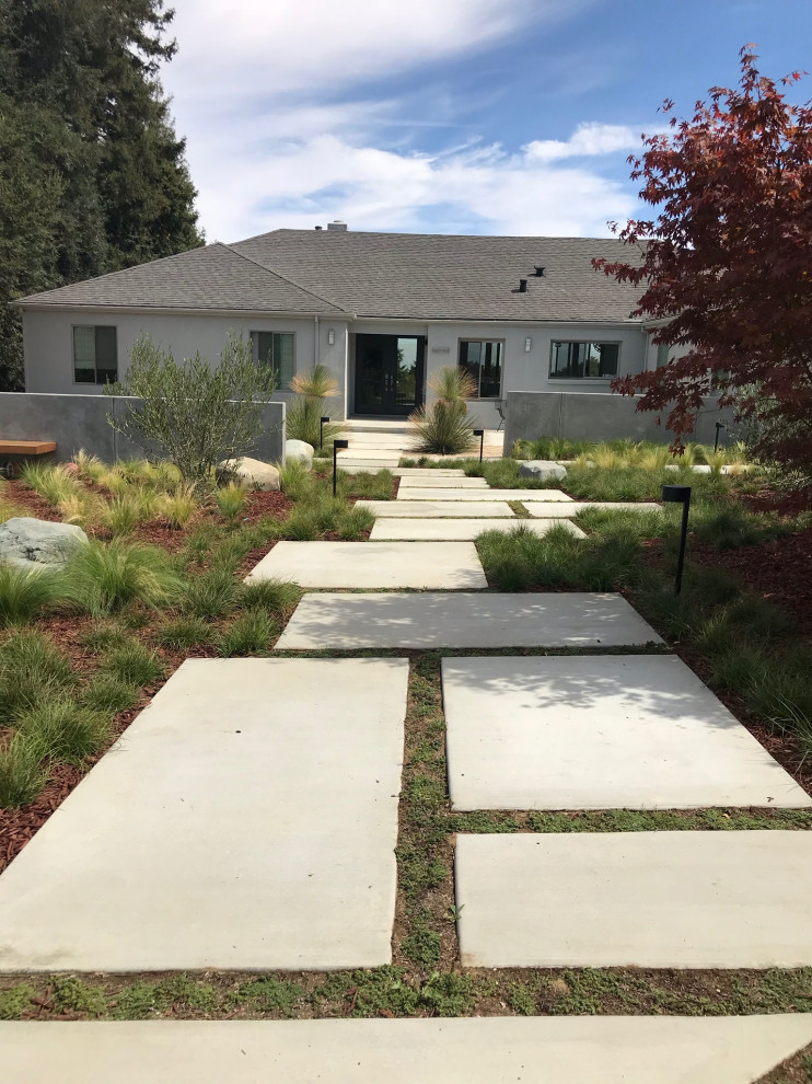 Modern Los Altos front yard - Contemporary - Garden - San Francisco ...
