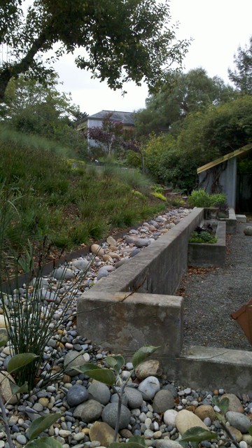 modern meadow - Modern - Garden - San Francisco - by merge studio ...