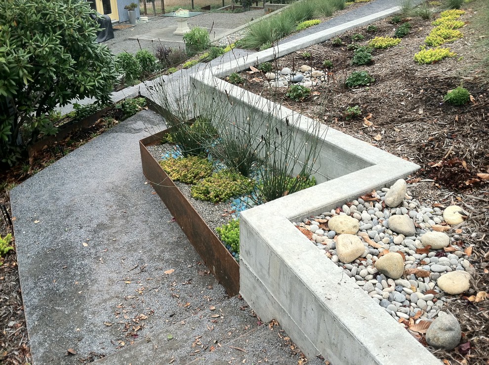 modern meadow - Modern - Landscape - San Francisco - by merge studio ...