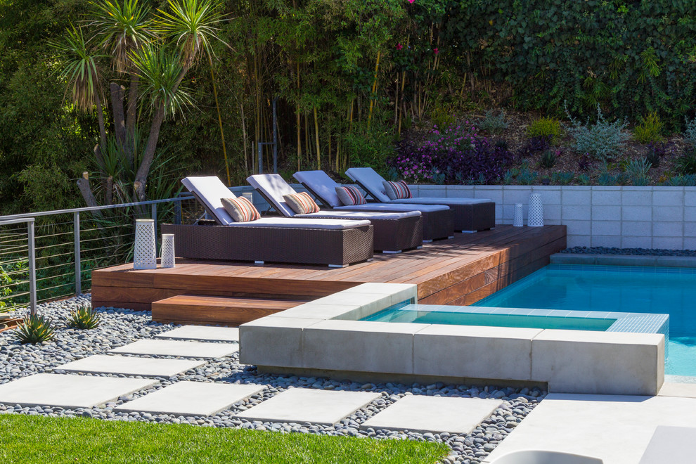 Modern Minimalist - Contemporary - Landscape - Los Angeles - by dp ...