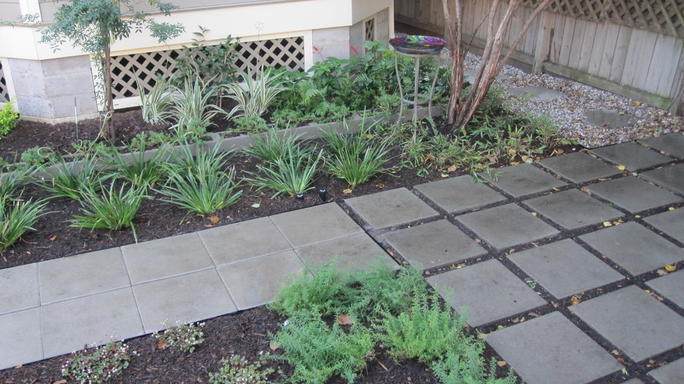 Modern no lawn front yard! - Contemporary - Garden - Houston - by ...