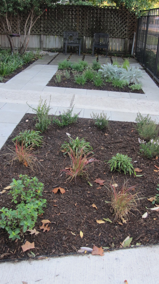 Modern no lawn front yard! - Contemporary - Landscape - Houston - by ...