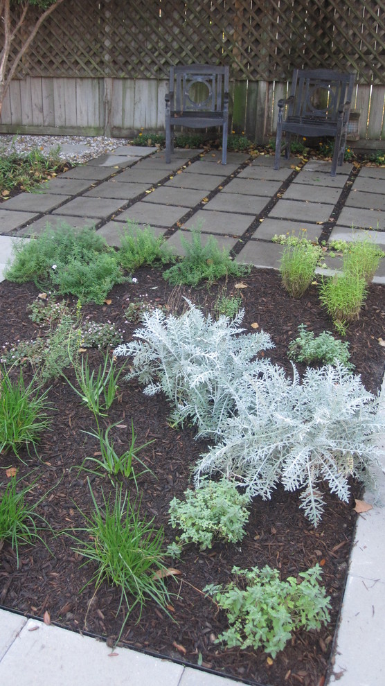 Modern no lawn front yard! - Contemporary - Landscape - Houston - by ...