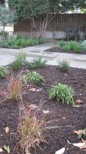 Modern no lawn front yard! - Contemporaneo - Giardino - Houston - di ...