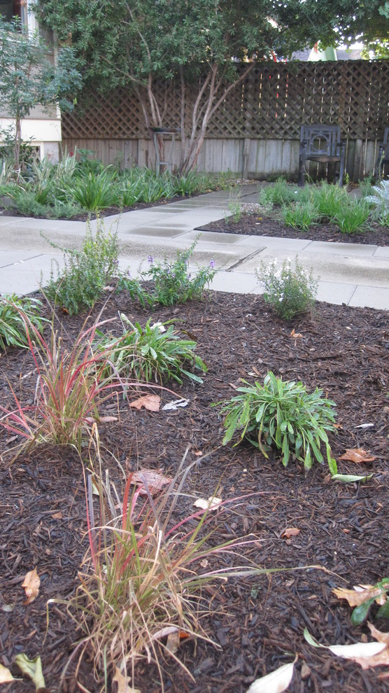 Modern no lawn front yard! - Contemporain - Jardin - Houston - par ...