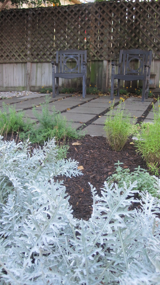 Modern no lawn front yard! - Contemporary - Landscape - Houston - by ...