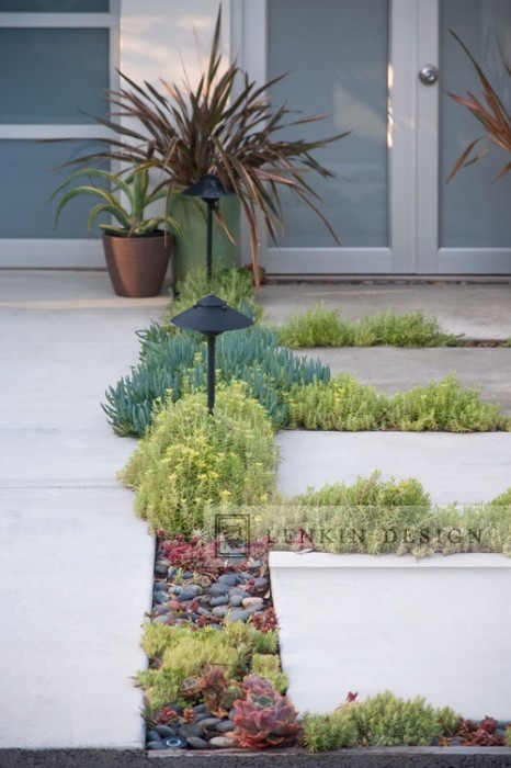 Modern Pavers Planted with Succulents - Contemporary - Landscape - Los ...
