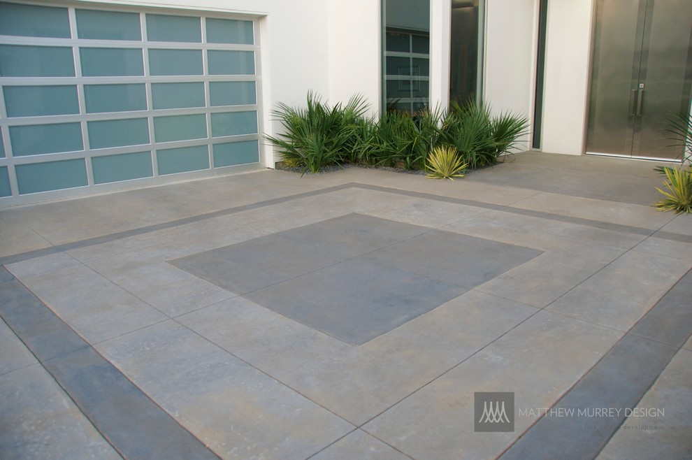 Modern Sabal Palm Massing - Plant Design - Modern - Landscape - Dallas ...