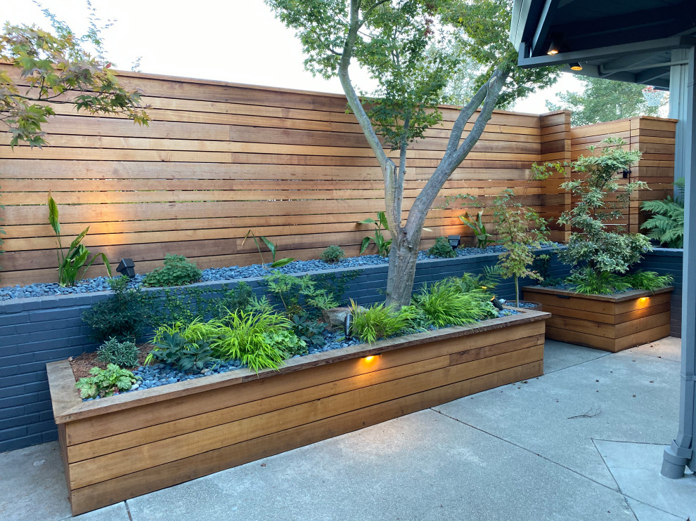 Modern Small Orinda Garden - Modern - Landscape - San Francisco - by ...