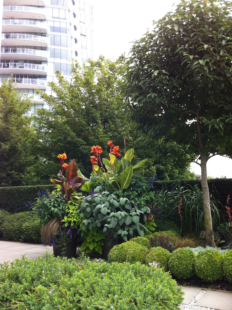 Modern Tropical Garden 2013 - Tropical - Landscape - Vancouver - by ...